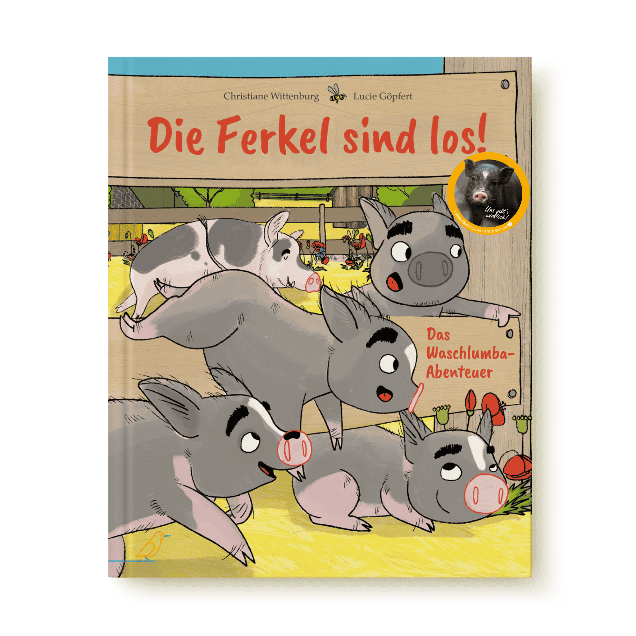 Diagnose: Diebstahl - Ein Glasknochen-Krimi - Erstlesebuch - CalmeMara